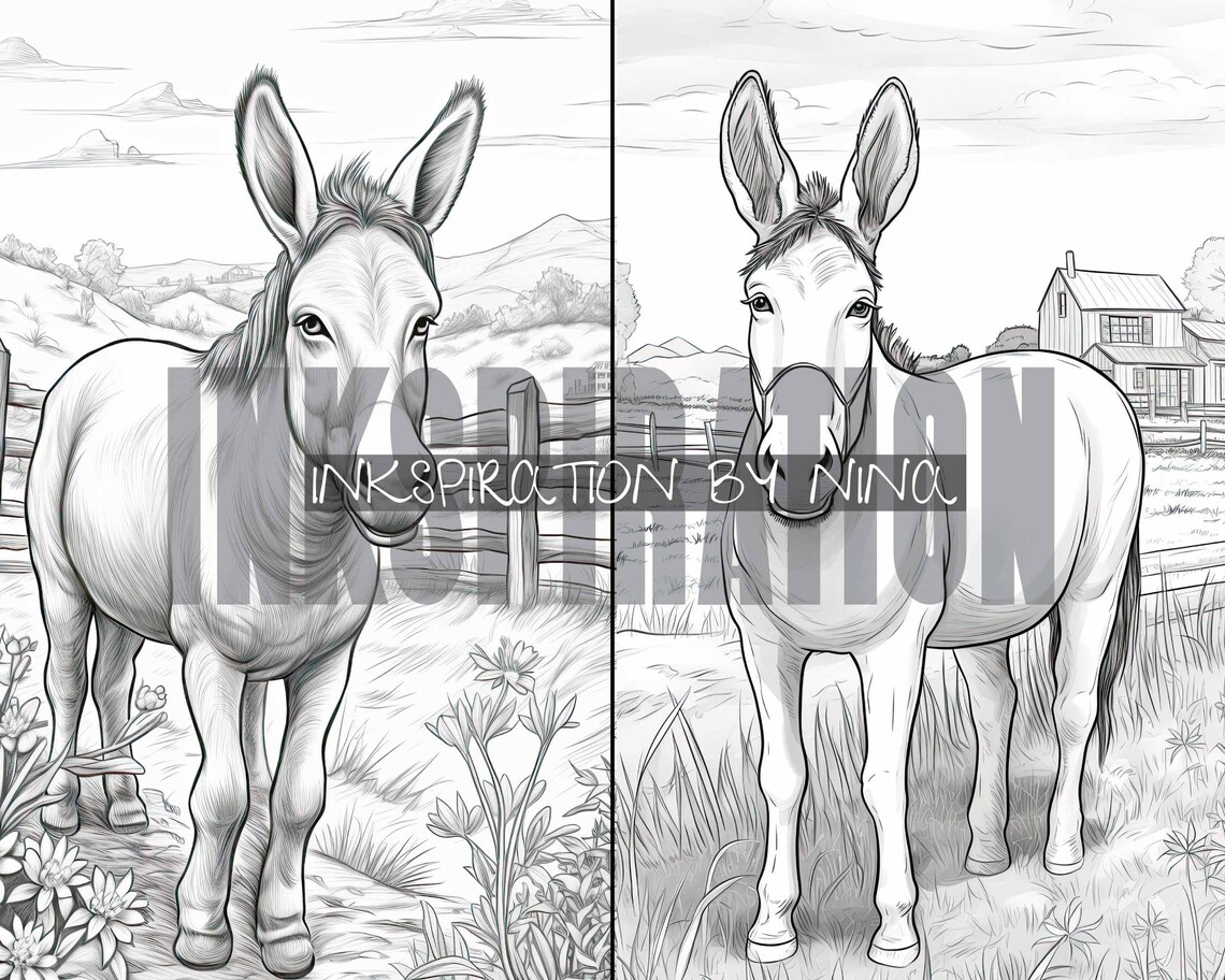 Farmland Donkey Coloring Book, 22 Greyscale Adult & Kids Farm Animal ...