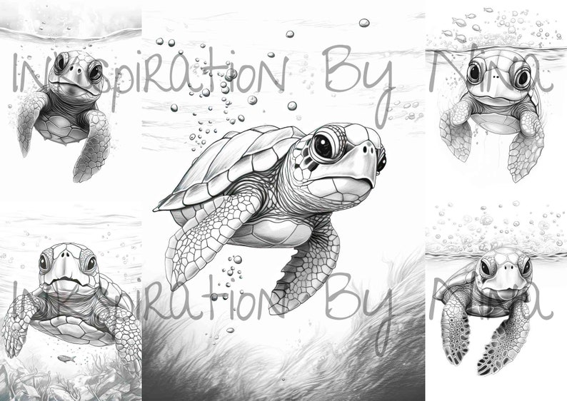 Cute Baby Sea Turtle Coloring Book, 21 Detail Greyscale Adult & Kids ...