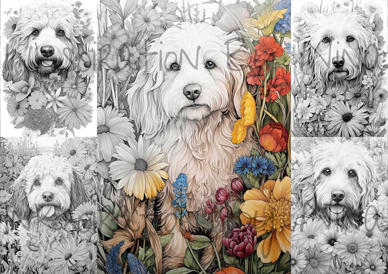 Labradoodle Dog in Flowers Coloring Pages, 20 Premium Adult & Kids ...