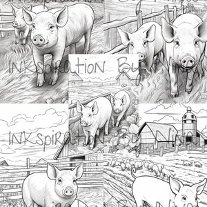 Farmland Pig Coloring Book, 21 Greyscale Adult & Kids Farm Animal ...