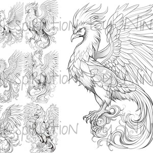Mythical Immortal Phoenix Coloring Pages, 21 Premium Coloring Sheets ...