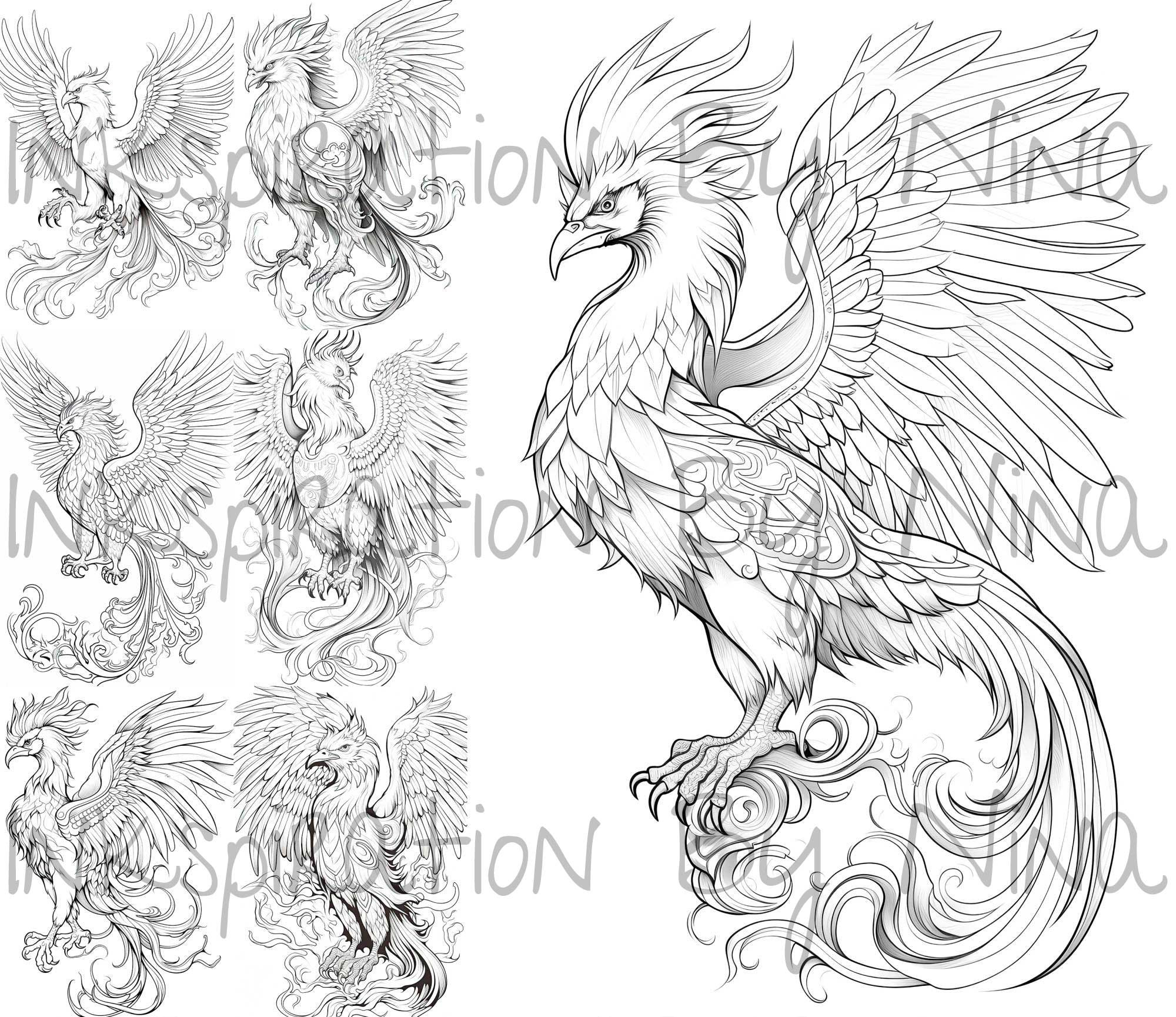 Mythical Immortal Phoenix Coloring Pages, 21 Premium Coloring Sheets ...