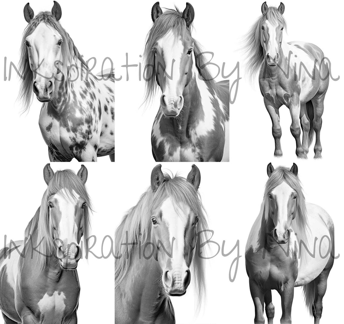 Wild Brown White Horse Coloring Pages, 24 Premium Adult Coloring Sheets ...
