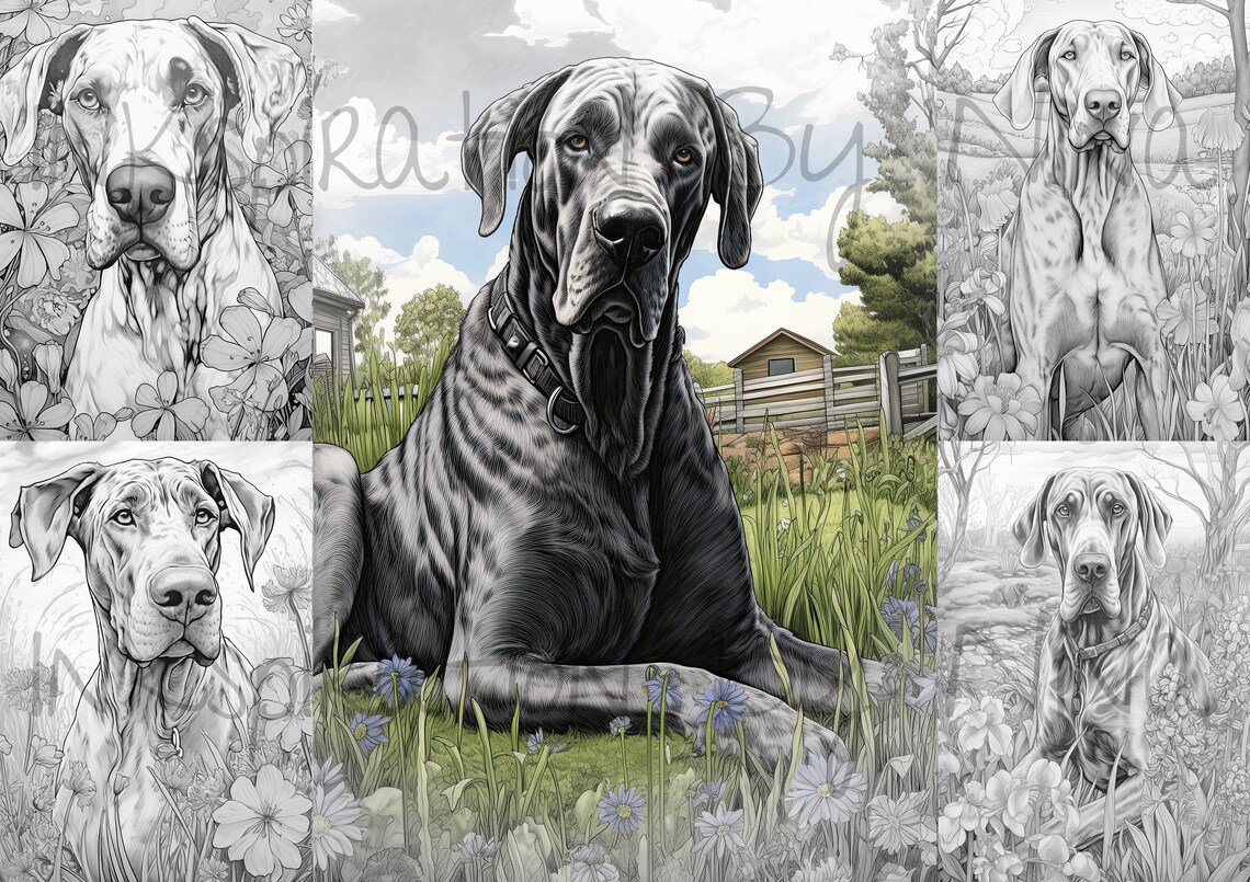 Great Dane Enjoying Outside Coloring Pages, 20 Premium Coloring Sheets ...