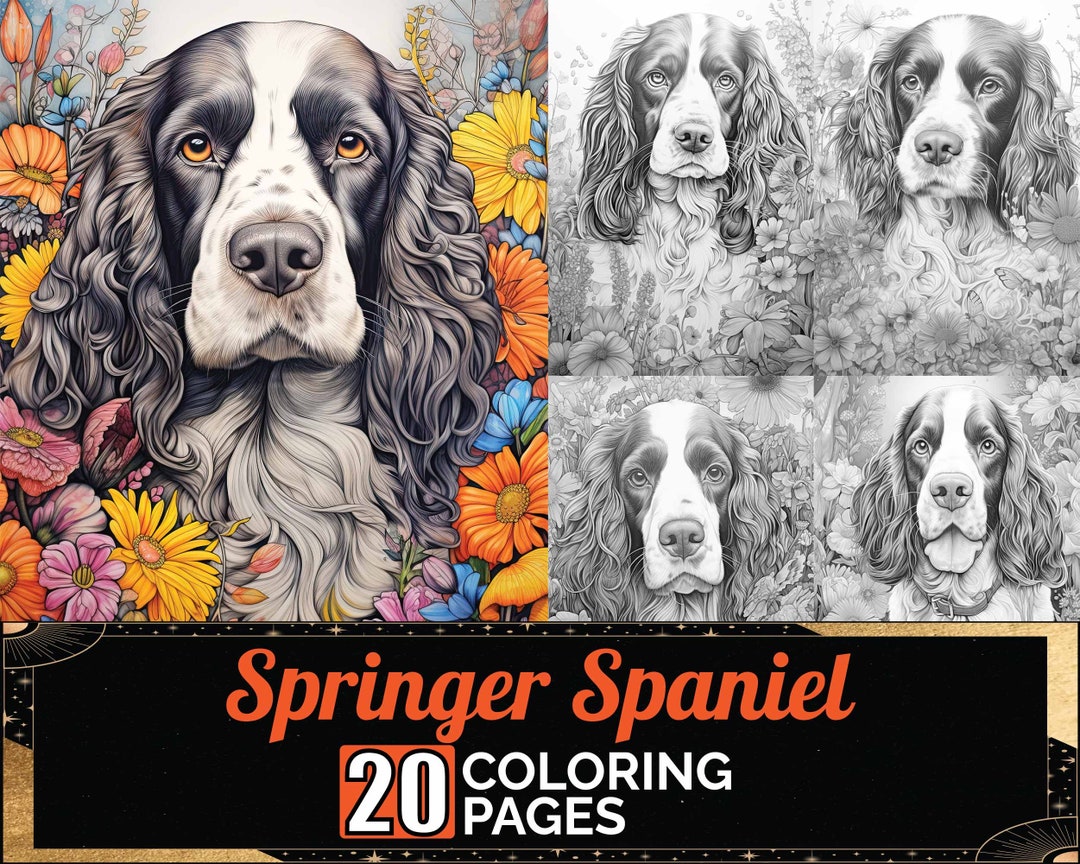 English Springer Spaniel Coloring Pages, 20 Premium Dog in Flowers ...