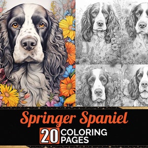 English Springer Spaniel Coloring Pages, 20 Premium Dog in Flowers ...