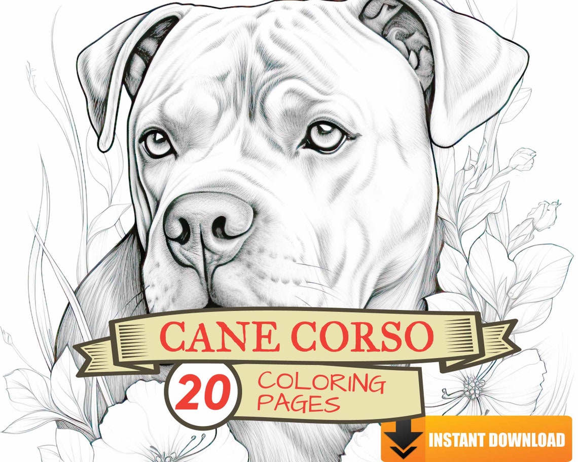Cane Corso in Flowers Coloring Pages 20 Premium Coloring - Etsy