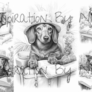 Garden Dachshund Reading Book Coloring Book, 21 Detail Greyscale Adult & Kids Colouring Page, A4 ...