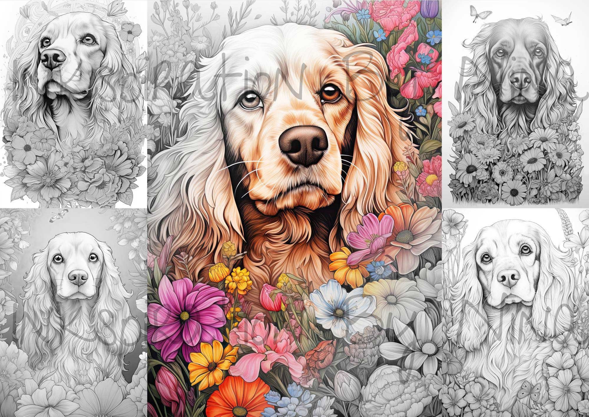 Cocker Spaniel in Flowers Coloring Pages, 20 Premium Coloring Sheets ...