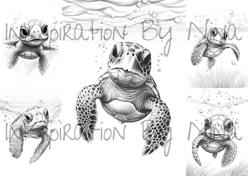 Cute Baby Sea Turtle Coloring Book, 21 Detail Greyscale Adult & Kids ...