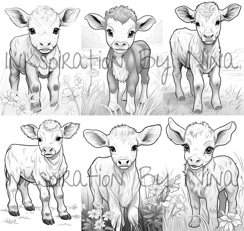 Cute Baby Calf Coloring Book, 30 Detail Greyscale Adult & Kids Cow ...