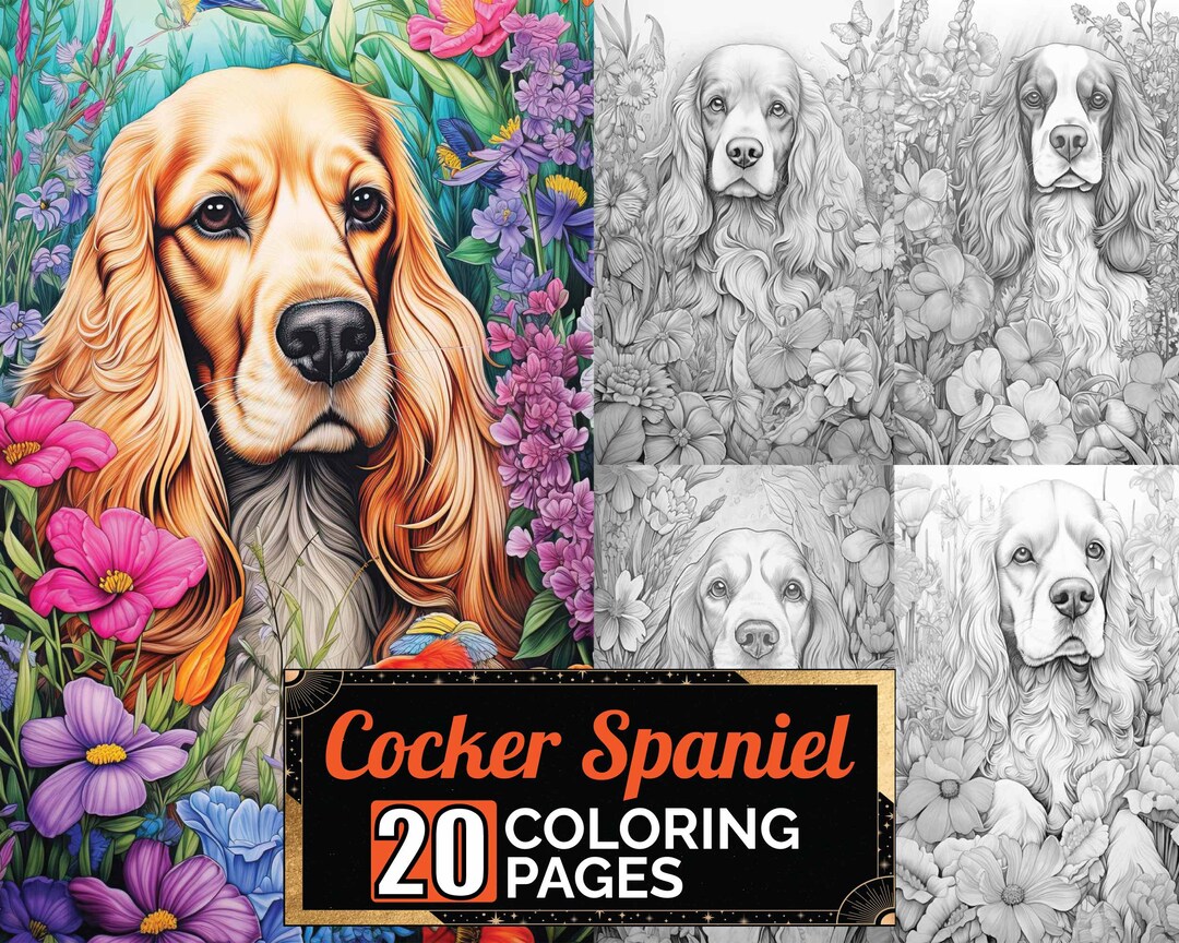 Cocker Spaniel in Flowers Coloring Pages, 20 Premium Coloring Sheets ...