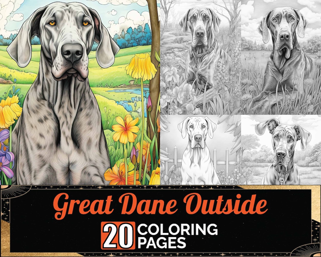 Great Dane Enjoying Outside Coloring Pages, 20 Premium Coloring Sheets ...