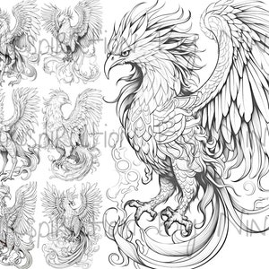 Mythical Immortal Phoenix Coloring Pages, 21 Premium Coloring Sheets ...