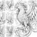 Mythical Immortal Phoenix Coloring Pages, 21 Premium Coloring Sheets ...