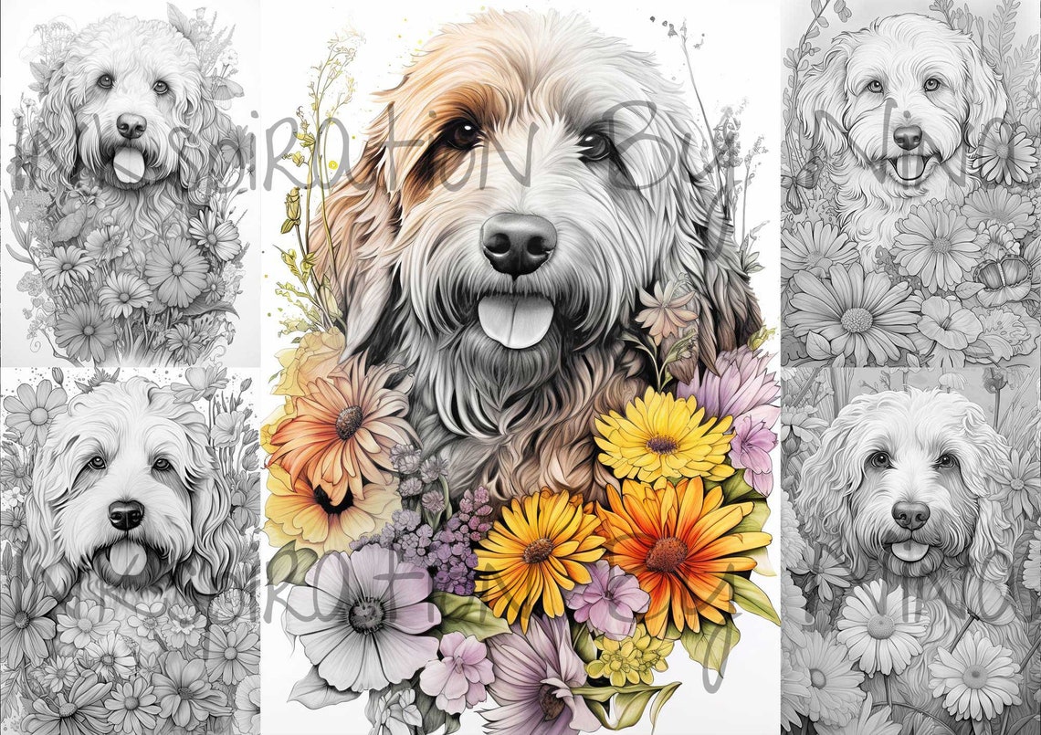 Labradoodle Dog in Flowers Coloring Pages 20 Premium Adult & - Etsy