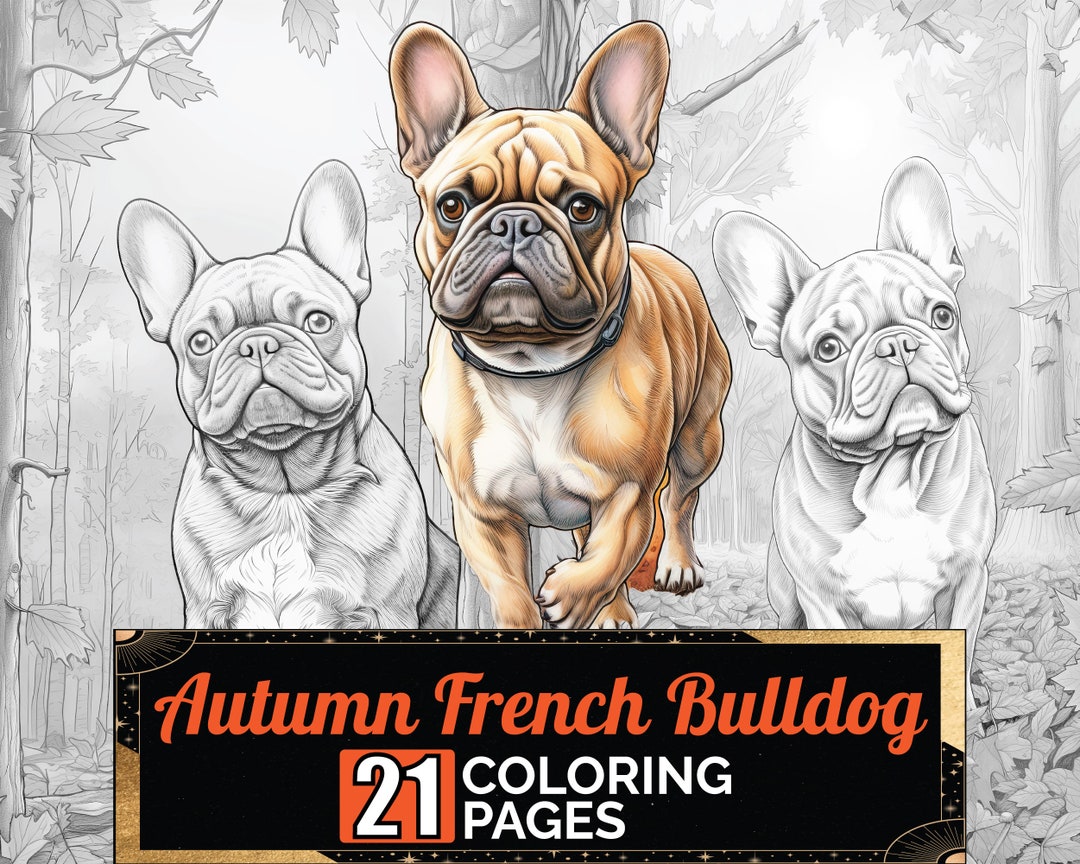French Bulldog Autumn Forest Coloring Book, 21 Detail Greyscale Adult ...
