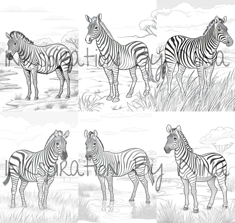 Zebra Grazing African Plains Coloring Book, 24 Detail Greyscale Adult ...