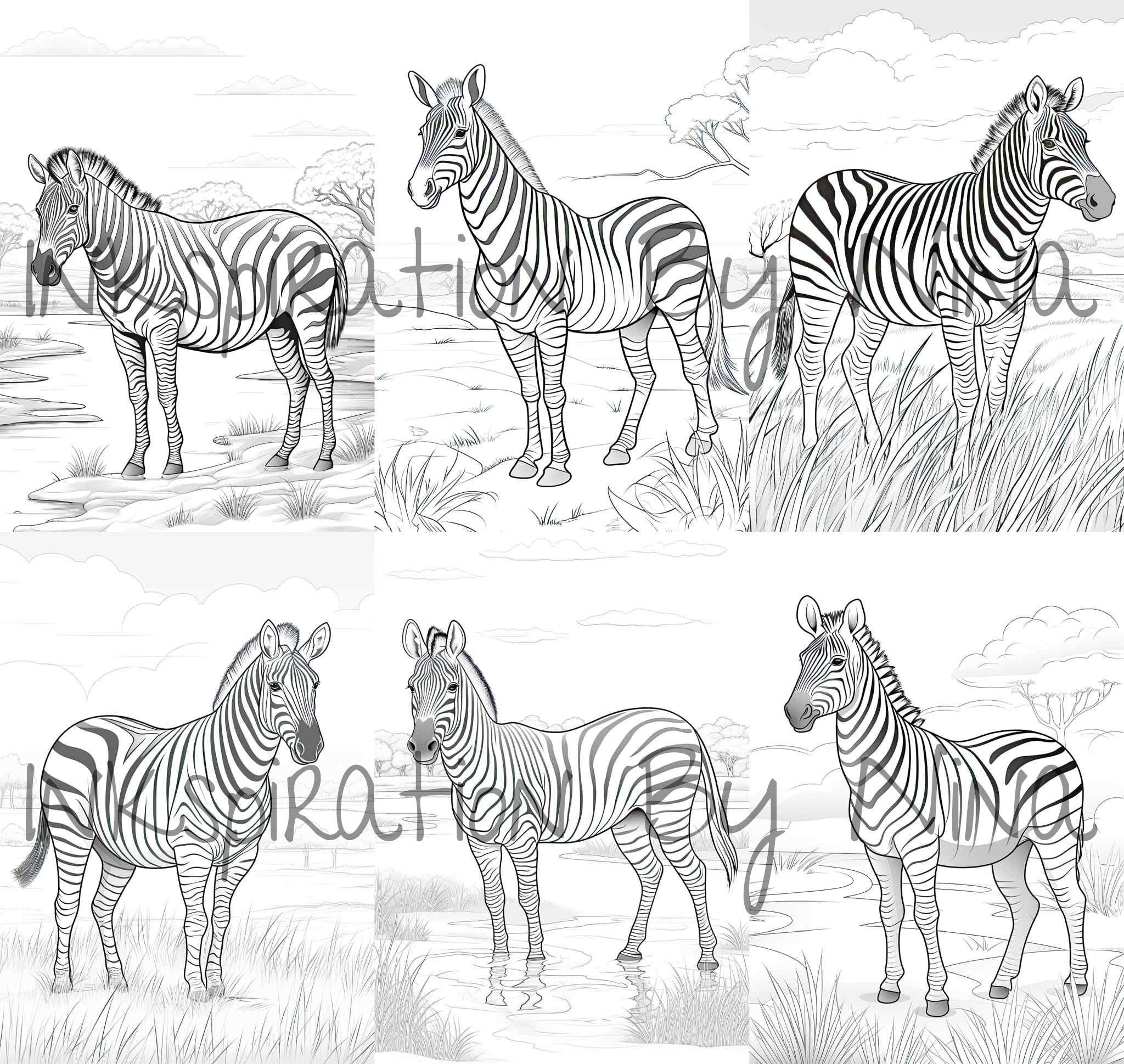 Zebra Grazing African Plains Coloring Book, 24 Detail Greyscale Adult ...