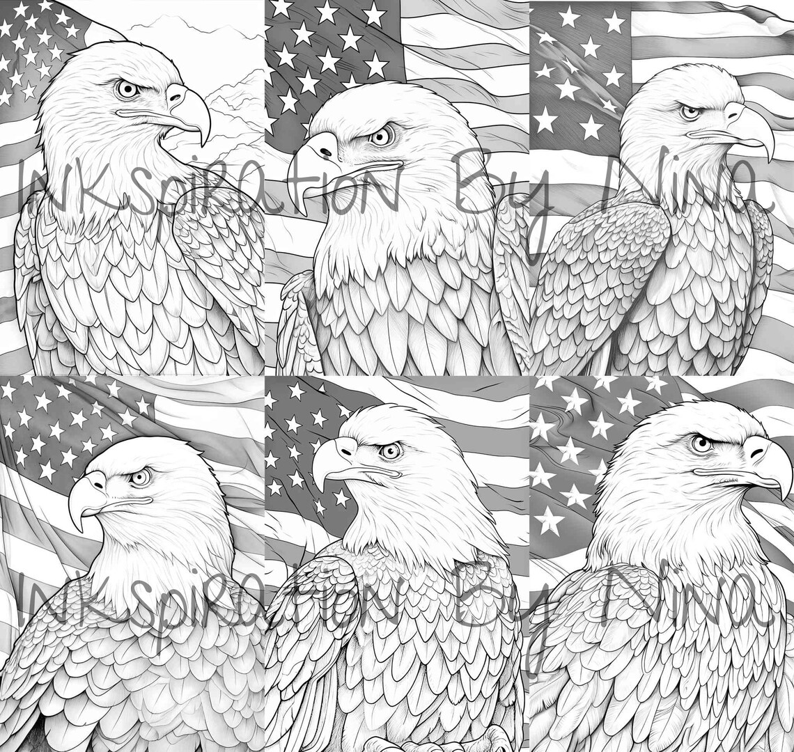 Bald American Eagle Flag Coloring Book, 24 Detail Greyscale Adult Kids ...