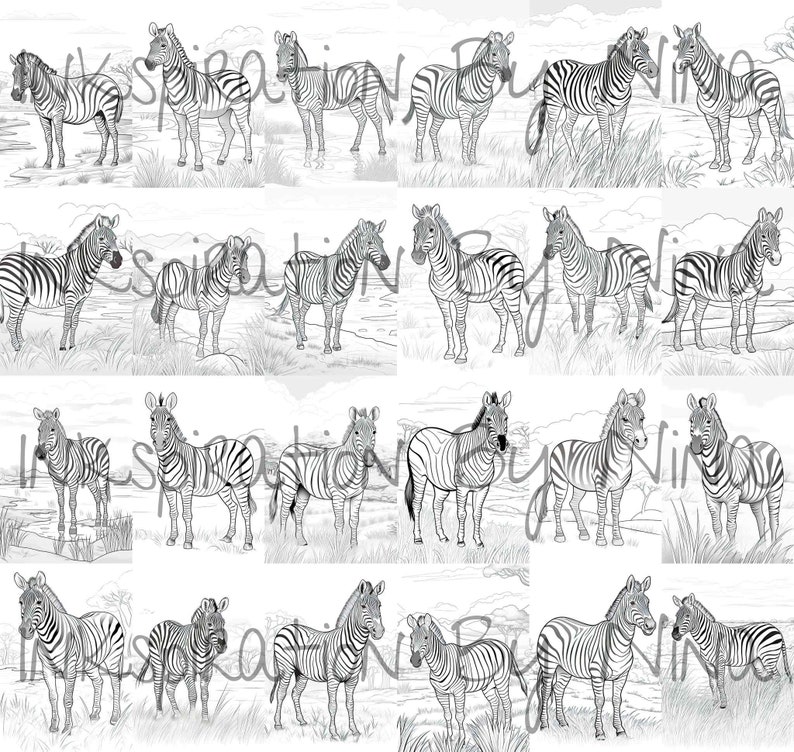 Zebra Grazing African Plains Coloring Book, 24 Detail Greyscale Adult ...
