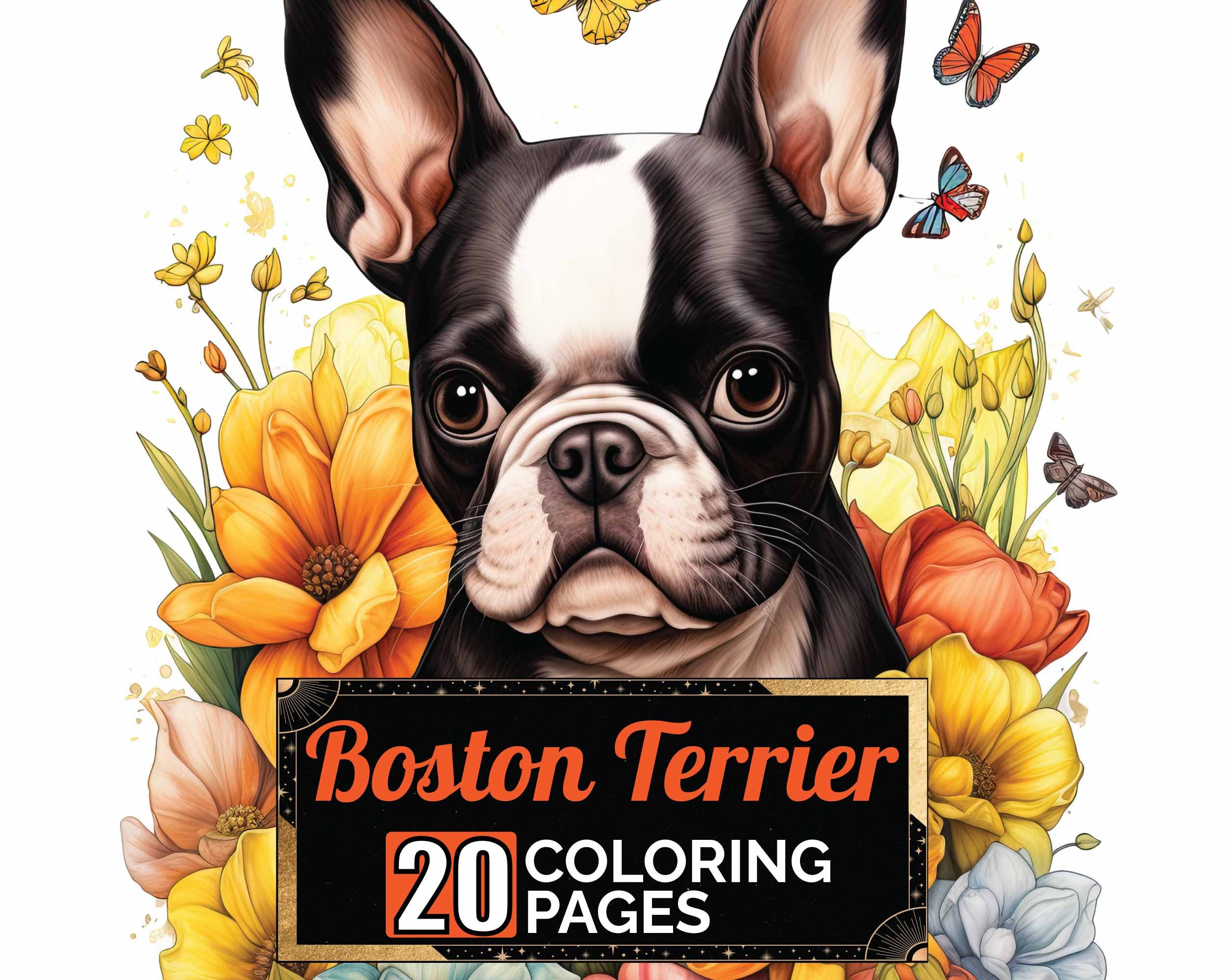 Boston Terrier in Flowers Coloring Pages, 20 Premium Coloring Sheets ...