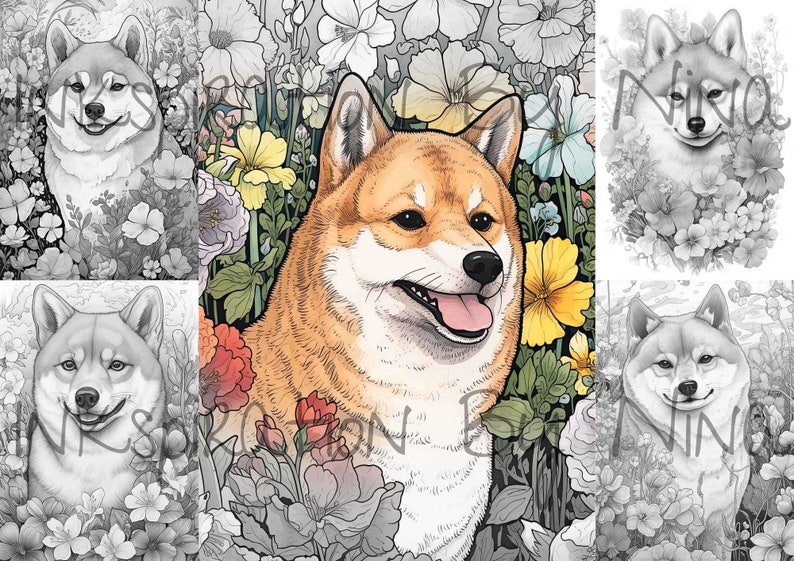 Shiba Inu Flowers Coloring Pages, 20 Premium Coloring Sheets, Coloring ...