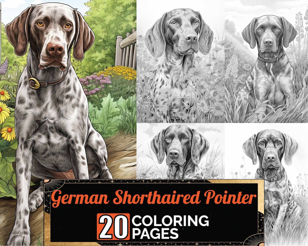 German Shorthaired Pointer in Flowers Coloring Pages, 20 Premium Adult ...