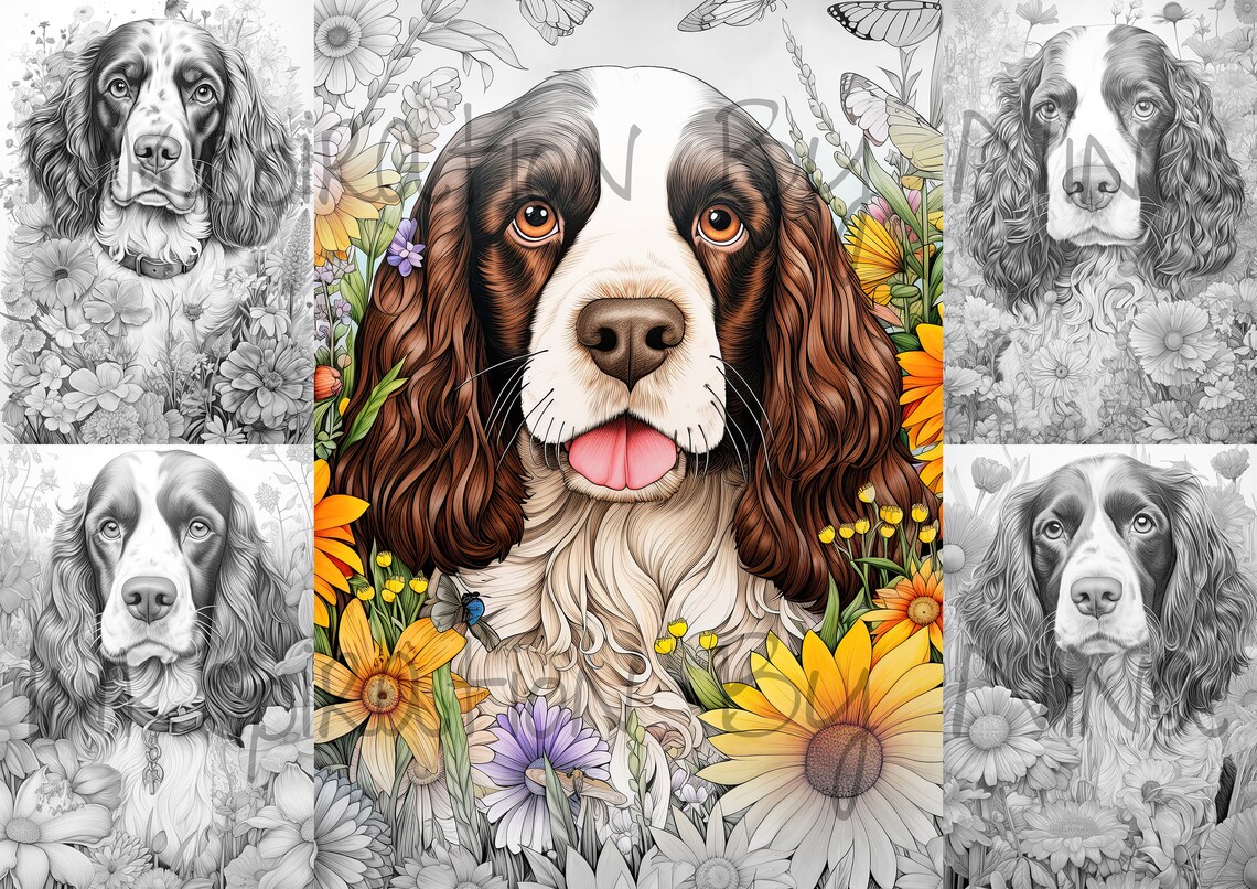 English Springer Spaniel Coloring Pages, 20 Premium Dog in Flowers ...