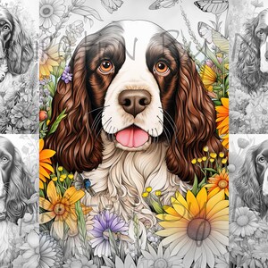 English Springer Spaniel Coloring Pages, 20 Premium Dog in Flowers ...
