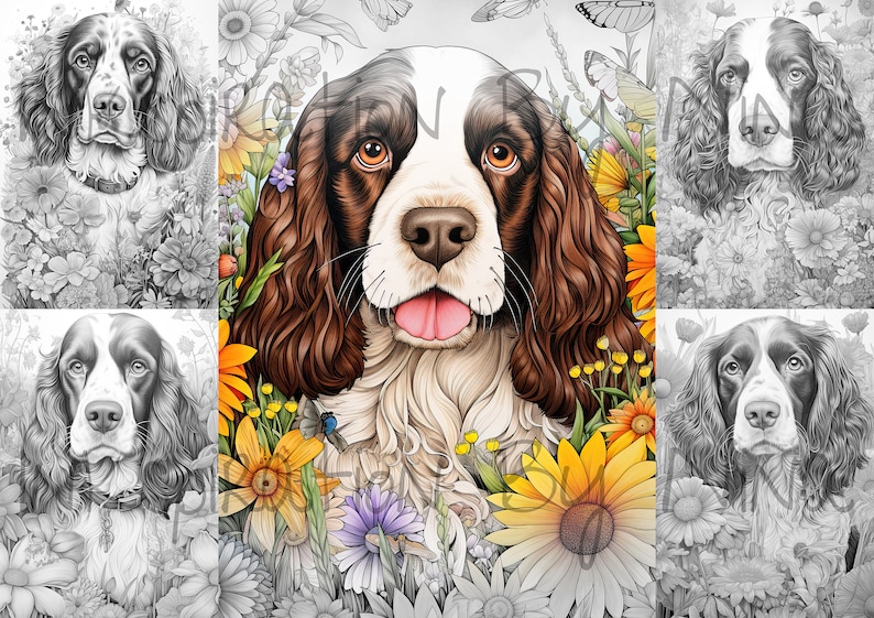 English Springer Spaniel Coloring Pages, 20 Premium Dog in Flowers ...