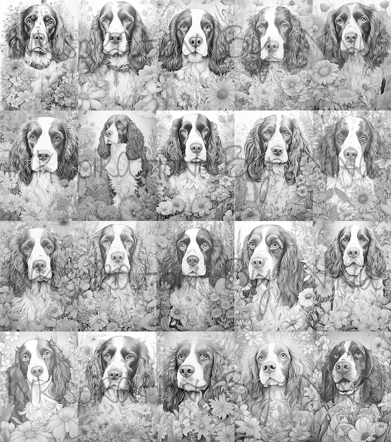 English Springer Spaniel Coloring Pages, 20 Premium Dog in Flowers ...
