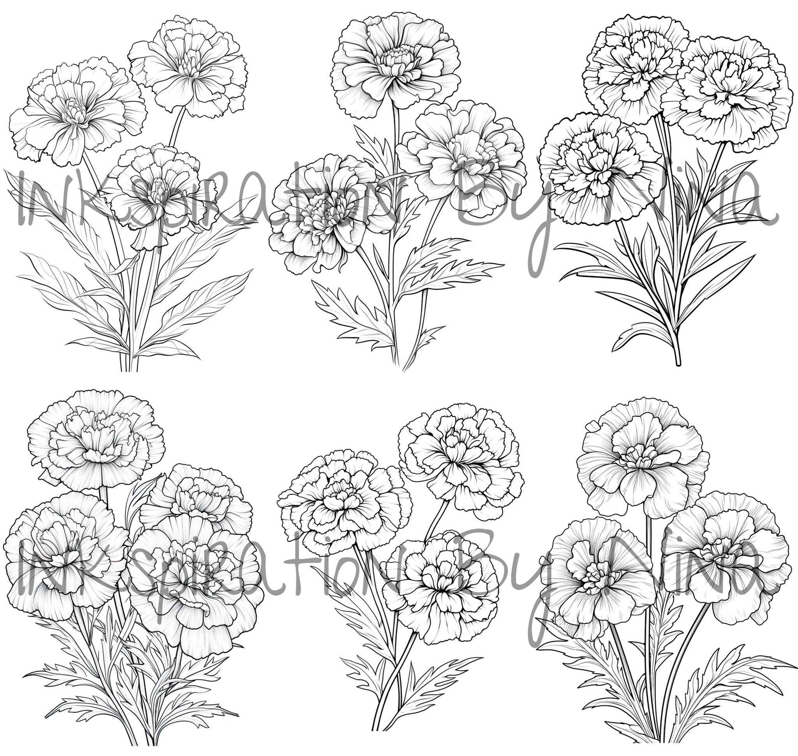 Marigold Flower Coloring Book, 24 Detail Floral Greyscale Adult & Kids ...