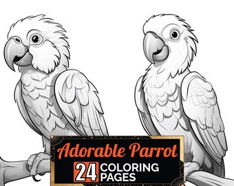 Parrot Colouring Sheet Instant Printable Digital Download - Etsy