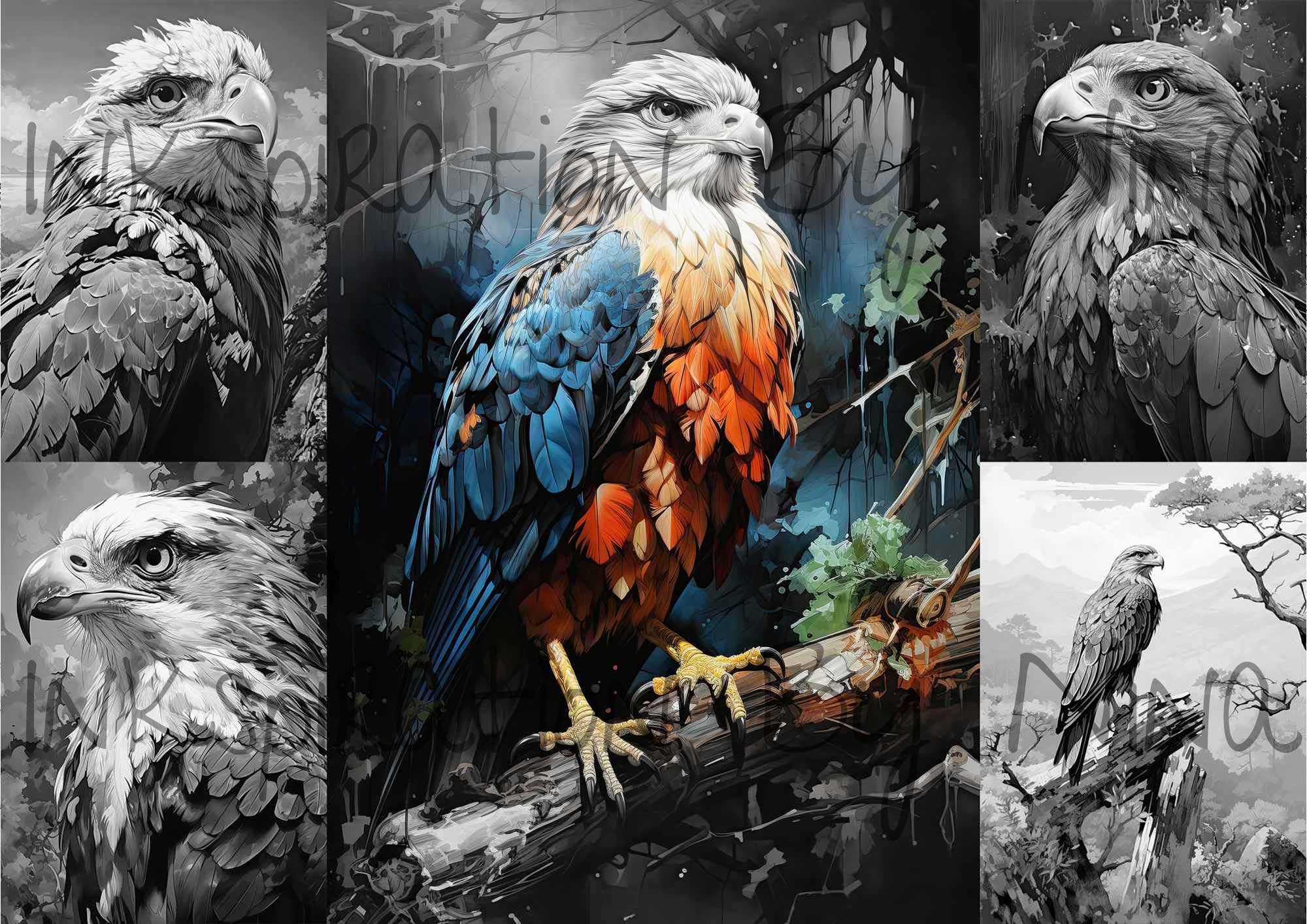 Falcon Ink Painting Coloring Pages, 20 Premium Adult Coloring Sheets ...