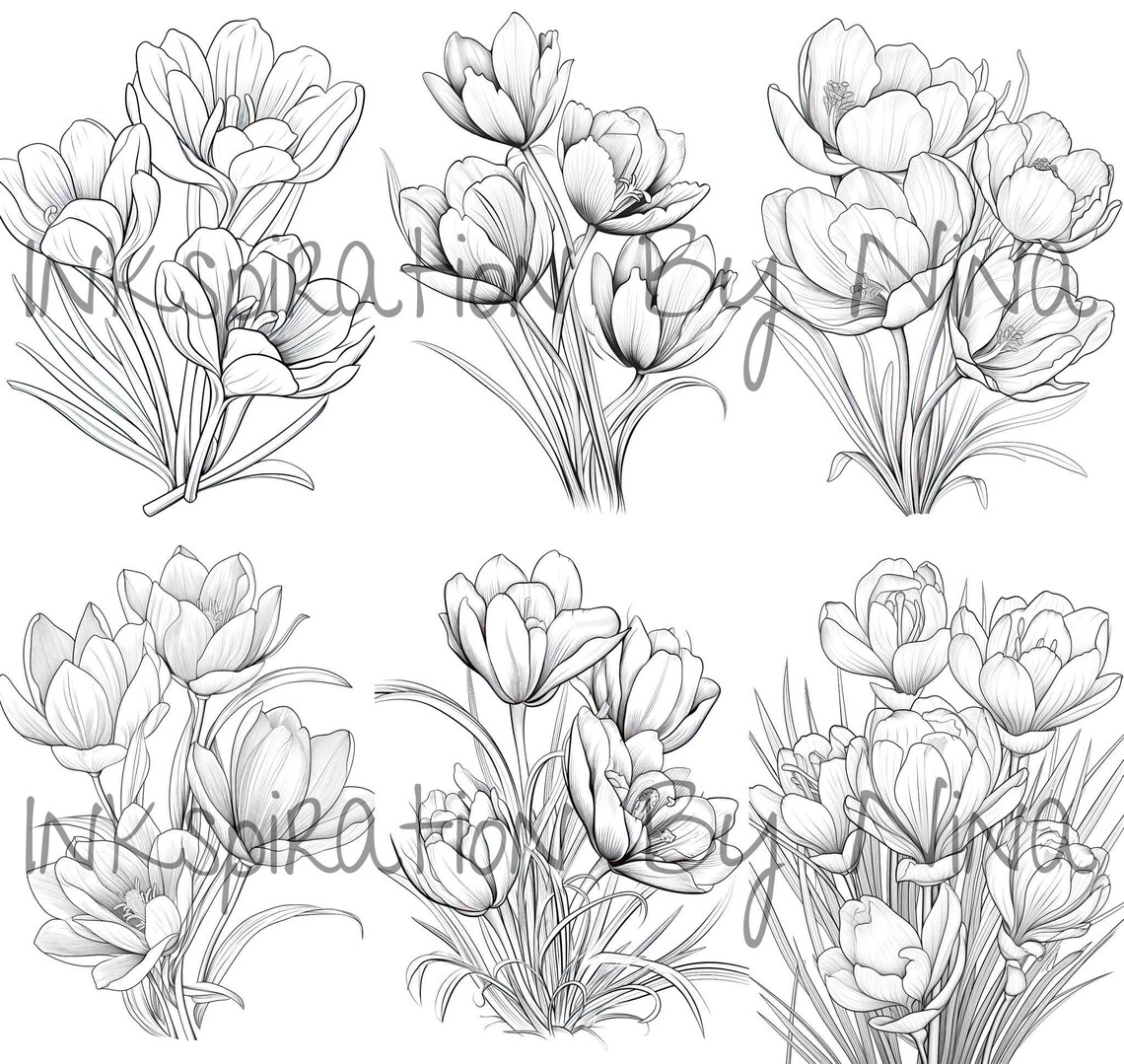 Crocus Flower Coloring Book, 30 Detailed Floral Greyscale Adult & Kids ...