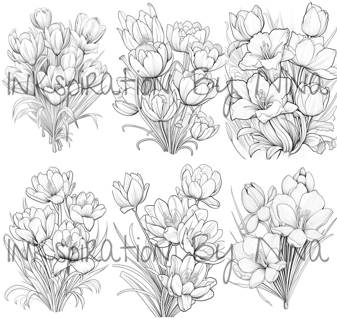 Crocus Flower Coloring Book, 30 Detailed Floral Greyscale Adult & Kids ...