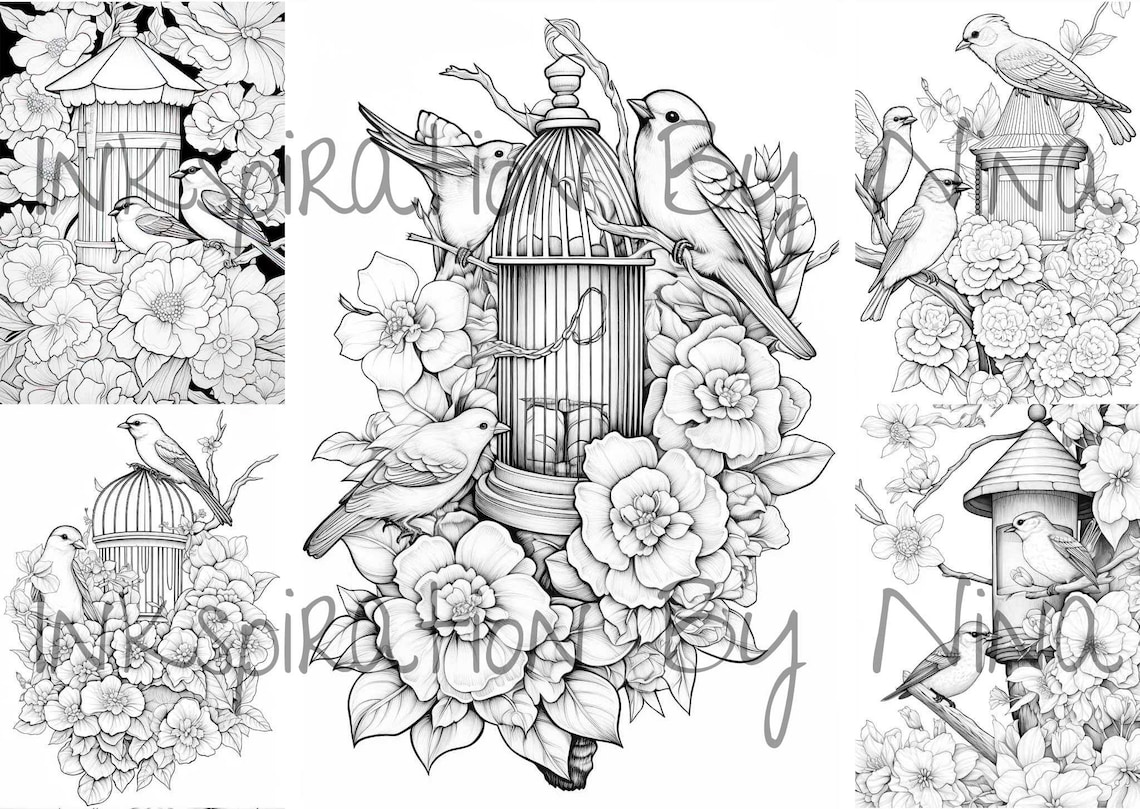 Bird Feeder Flowers Coloring Book, 20 Premium Birds Feeding Outside ...