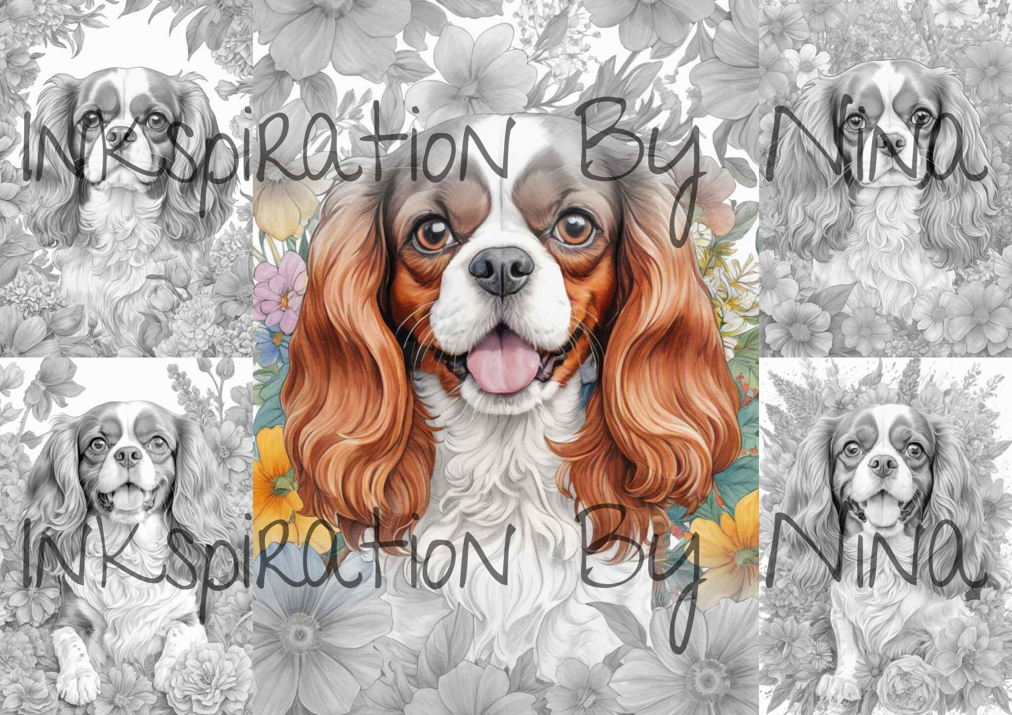 Cavalier King Charles Spaniel Outdoors Coloring Book, 45 Detail ...