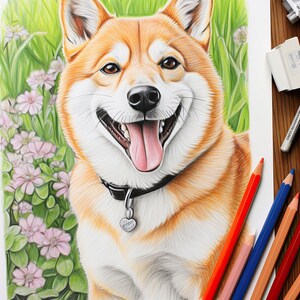 Shiba Inu Outside Coloring Book, 20 Premium Adult & Kids Cute Dog ...