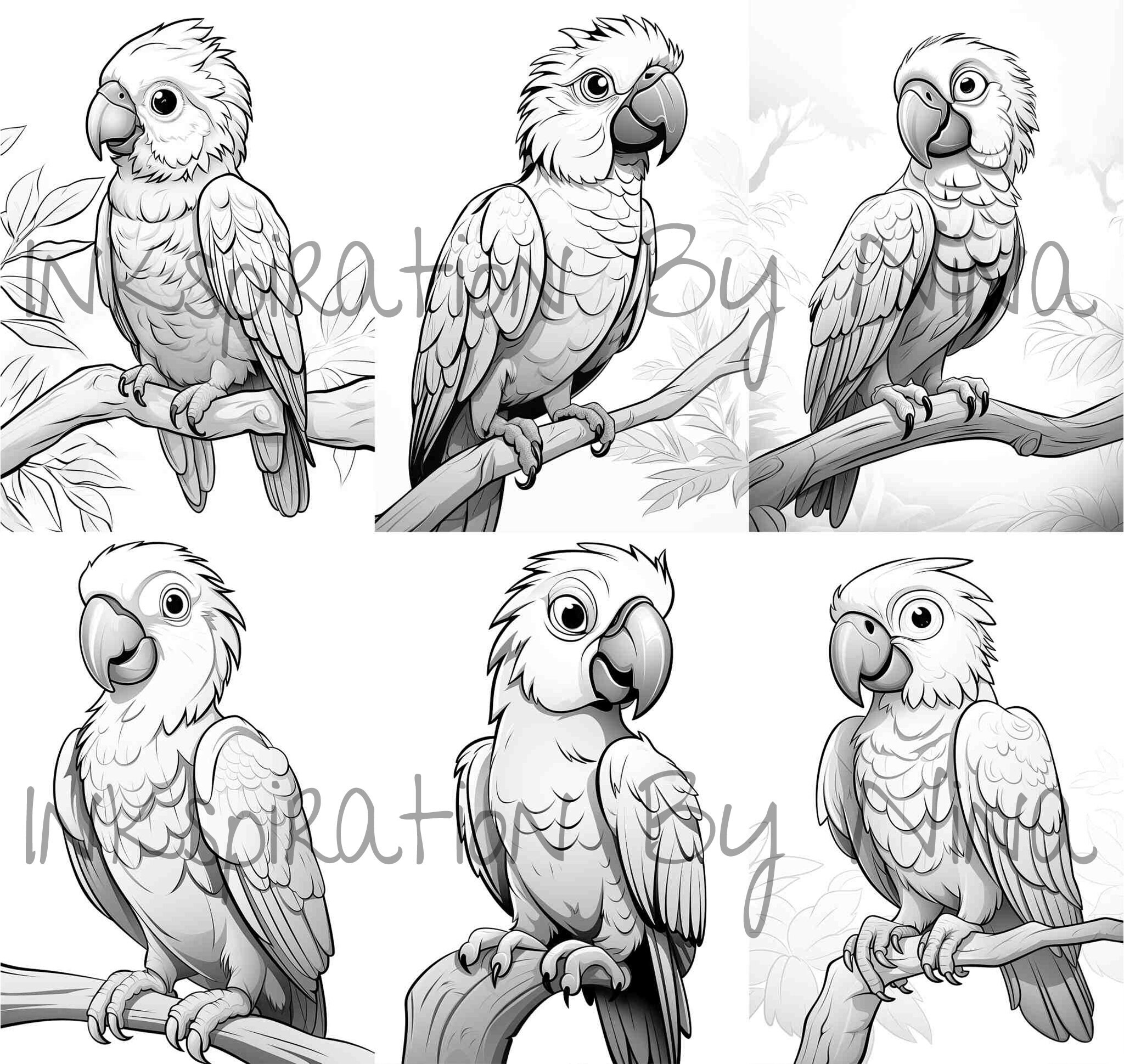 Adorable Parrot Coloring Book, 24 Detail Greyscale Adult & Kids Bird ...