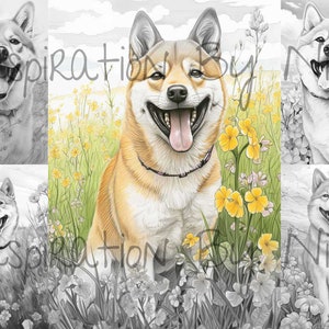 Shiba Inu Outside Coloring Book, 20 Premium Adult & Kids Cute Dog ...