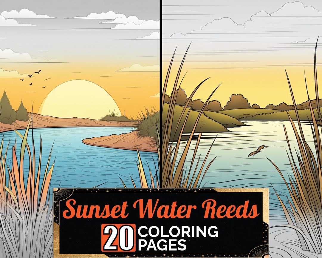 Sunset Water Reeds Landscape Coloring Book, 20 Detail Greyscale Adult ...