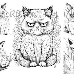 Cute Grumpy Cat Coloring Book, 30 Detail Greyscale Adult & Kids Cat ...