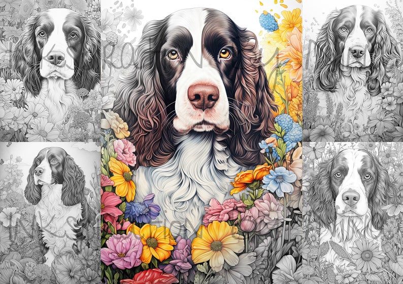 English Springer Spaniel Coloring Pages, 20 Premium Dog in Flowers ...