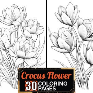 Crocus Flower Coloring Book, 30 Detailed Floral Greyscale Adult & Kids ...