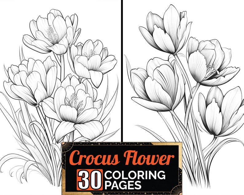 Crocus Flower Coloring Book, 30 Detailed Floral Greyscale Adult & Kids ...