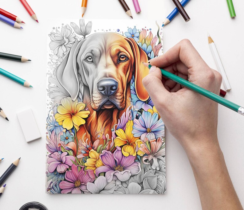 Rhodesian Ridgeback Coloring Pages, 20 Premium Adult Coloring Sheets ...