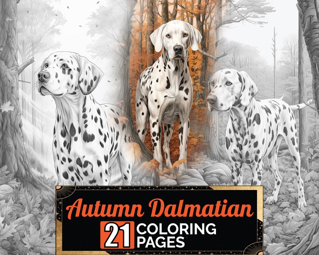 Dalmatian in Autumn Forest Coloring Book, 21 Detail Greyscale Adult ...