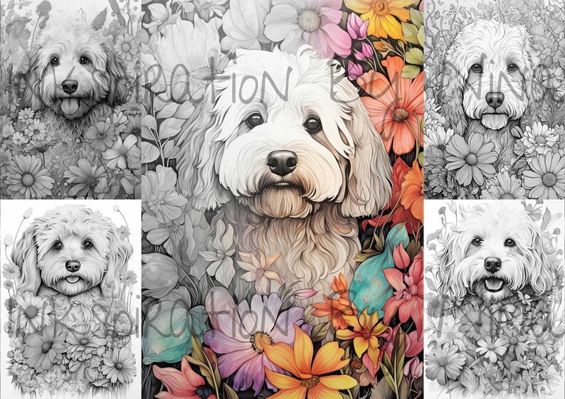 Labradoodle Dog in Flowers Coloring Pages, 20 Premium Adult & Kids ...